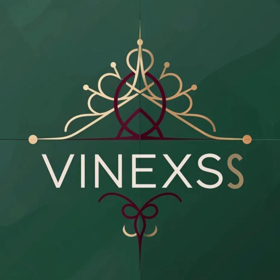 Иконка канала VINEXS
