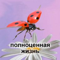 Иконка канала «Полноценная жизнь» дискуссионный клуб