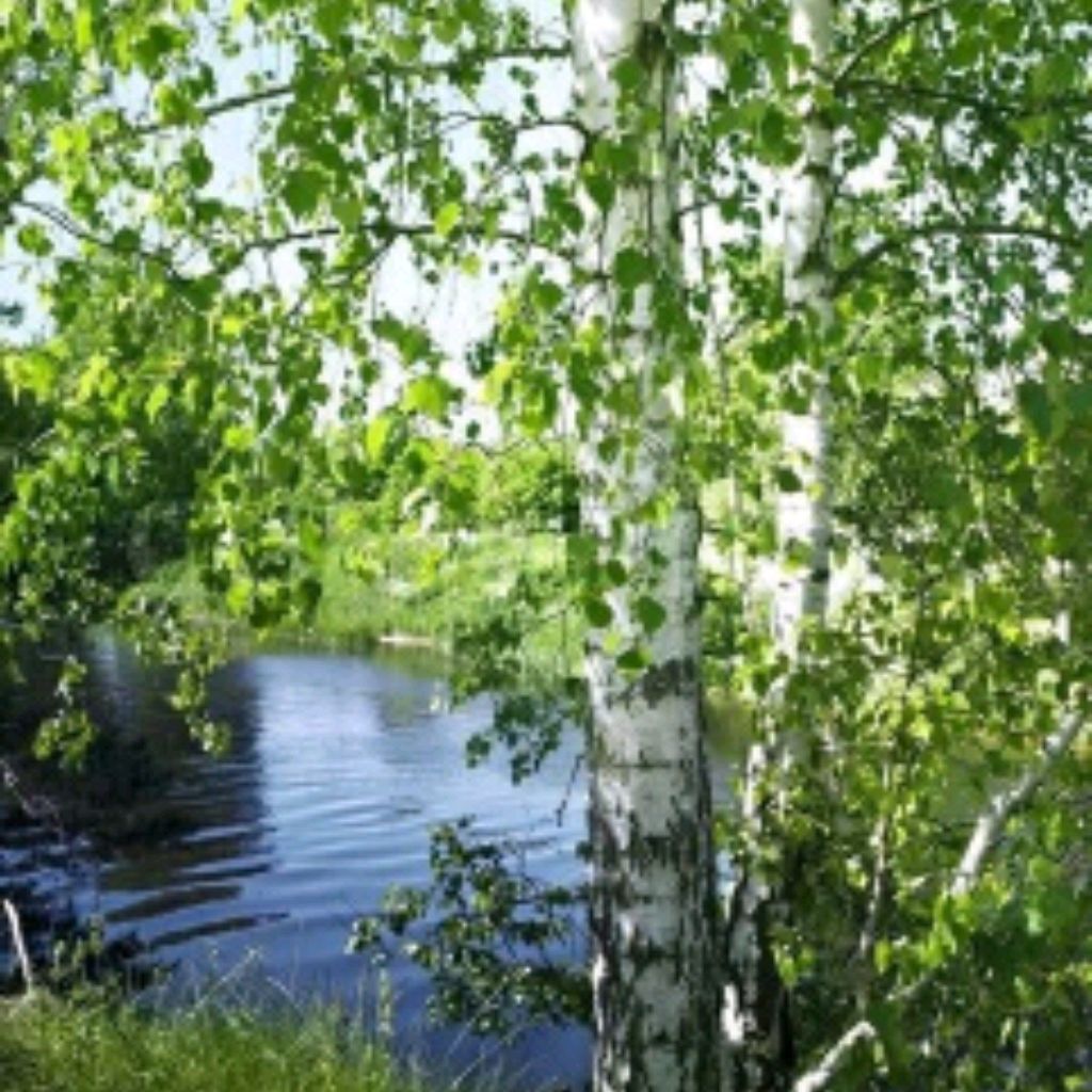 Иконка канала Нина Гашина