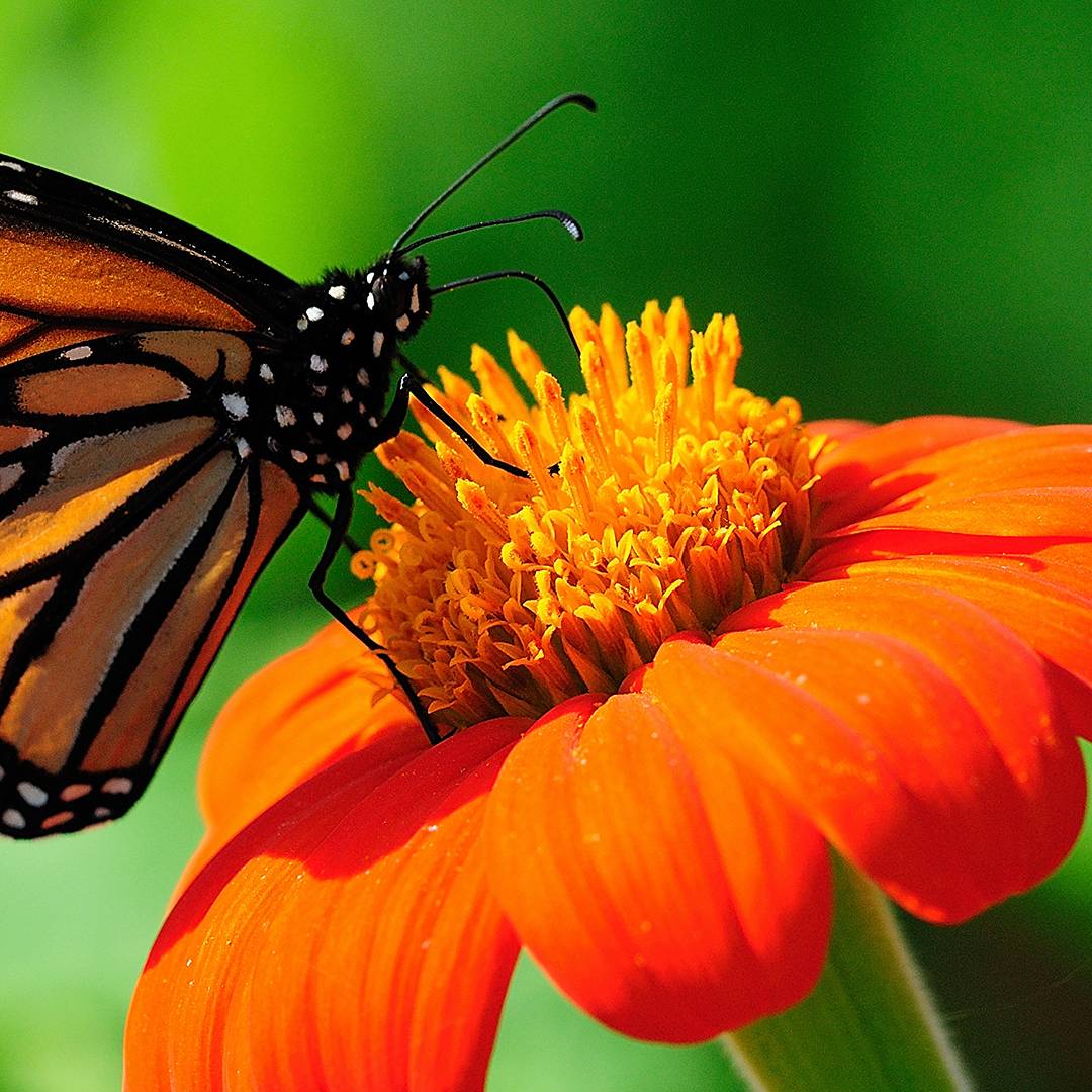 Иконка канала duremar