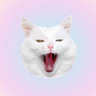 Иконка канала SOFIADELMONSTRO