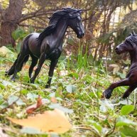 Иконка канала Karmen Studio //Лошади Шляйх//