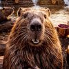 Иконка канала Mr. Zoo