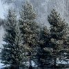 Иконка канала Черепанова Василина