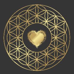 Иконка канала ТвоёМестоСилы