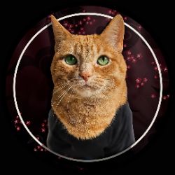 Иконка канала Кот Пух