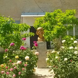 Иконка канала Школьные новости Нижний Чир