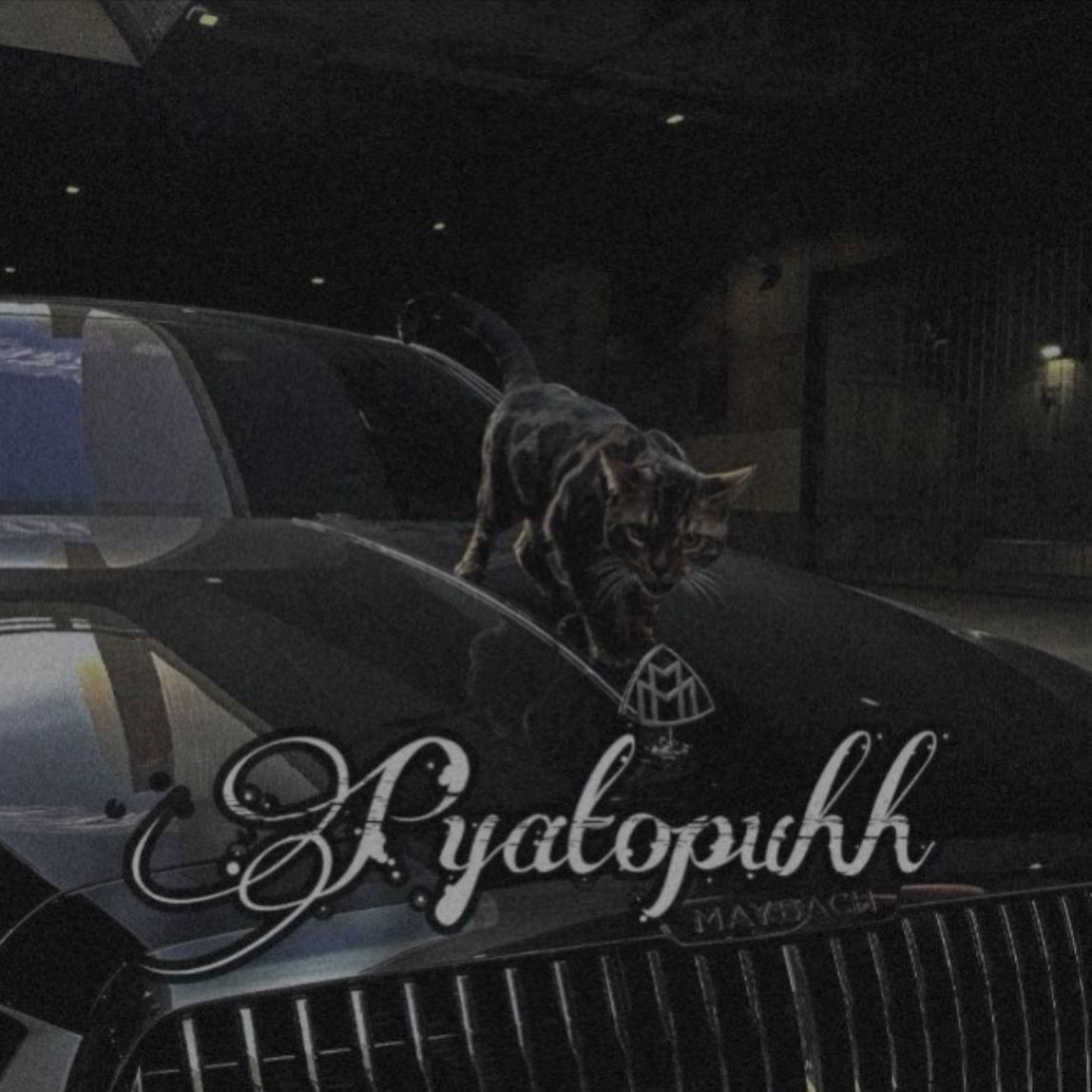 Иконка канала Pyatopuhh