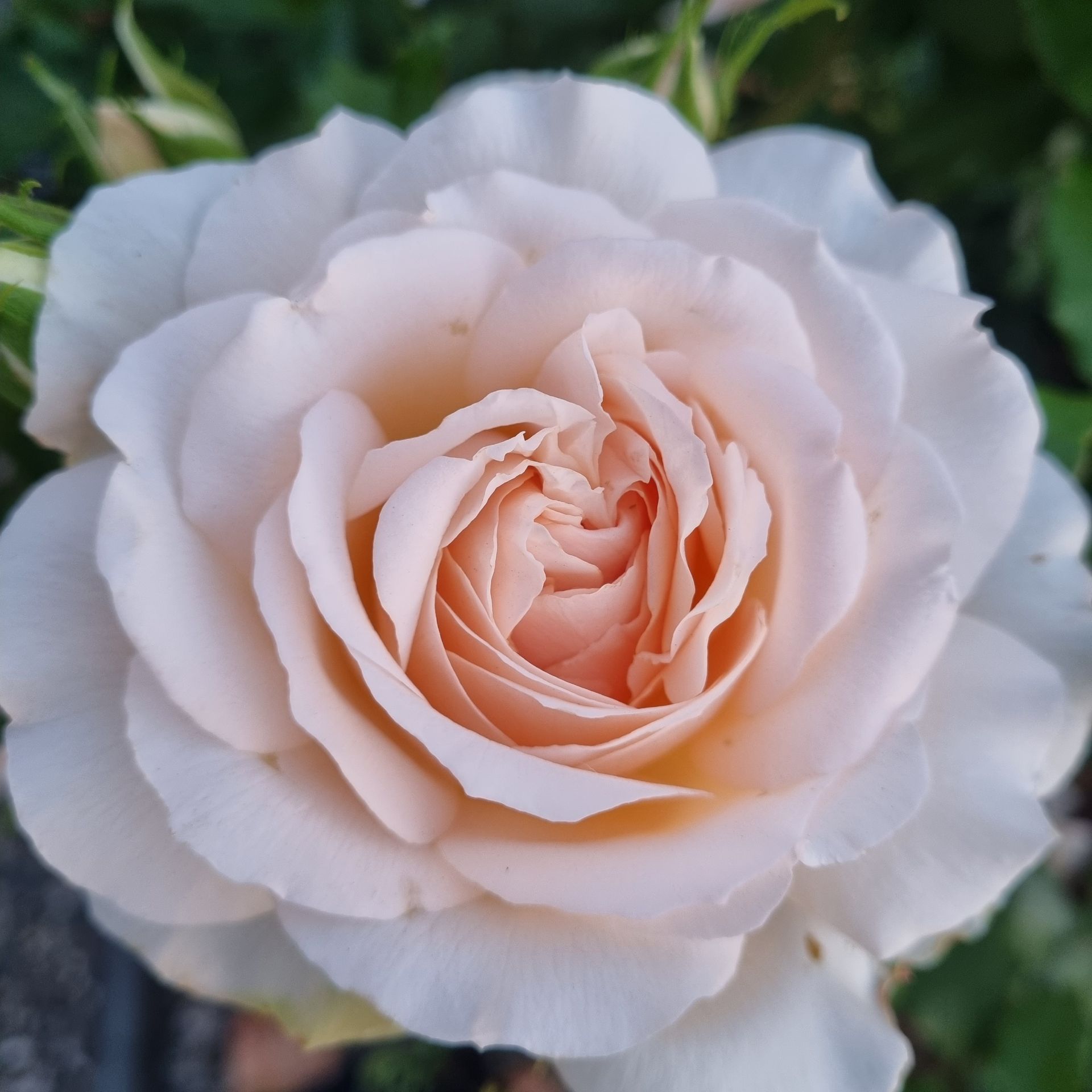 Иконка канала Зеленая леди с экшн камерой