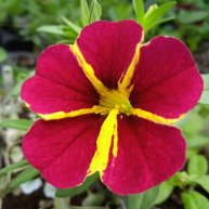 Иконка канала Цветочная Фея