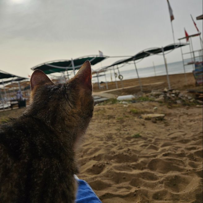 Иконка канала Дневник нефротика