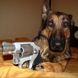 Иконка канала Hat_Top