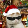 Иконка канала Котео =)