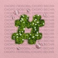 Иконка канала Молодёжь Липецкой области