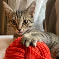 Иконка канала Наша Таня - просто вяжет. С миру по нитке.