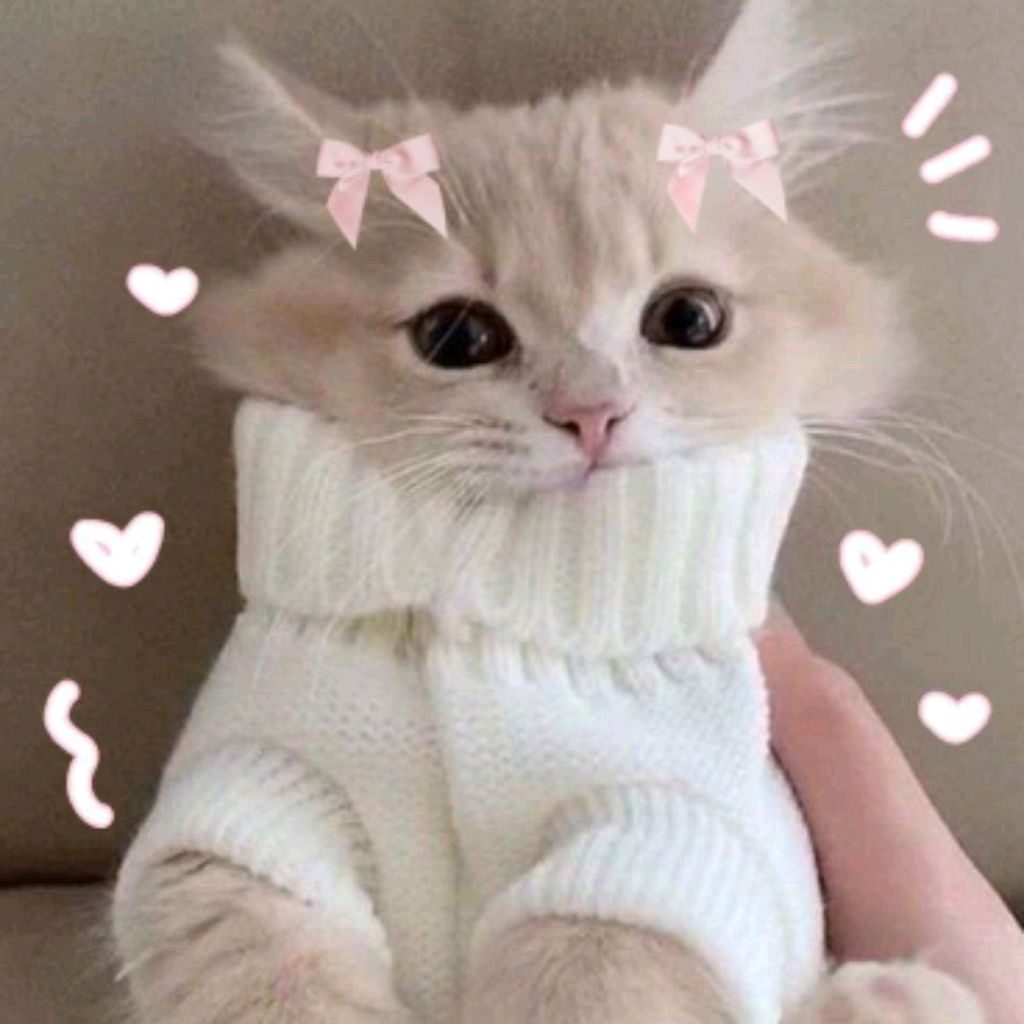 Иконка канала ♡Мисс Кошки♡