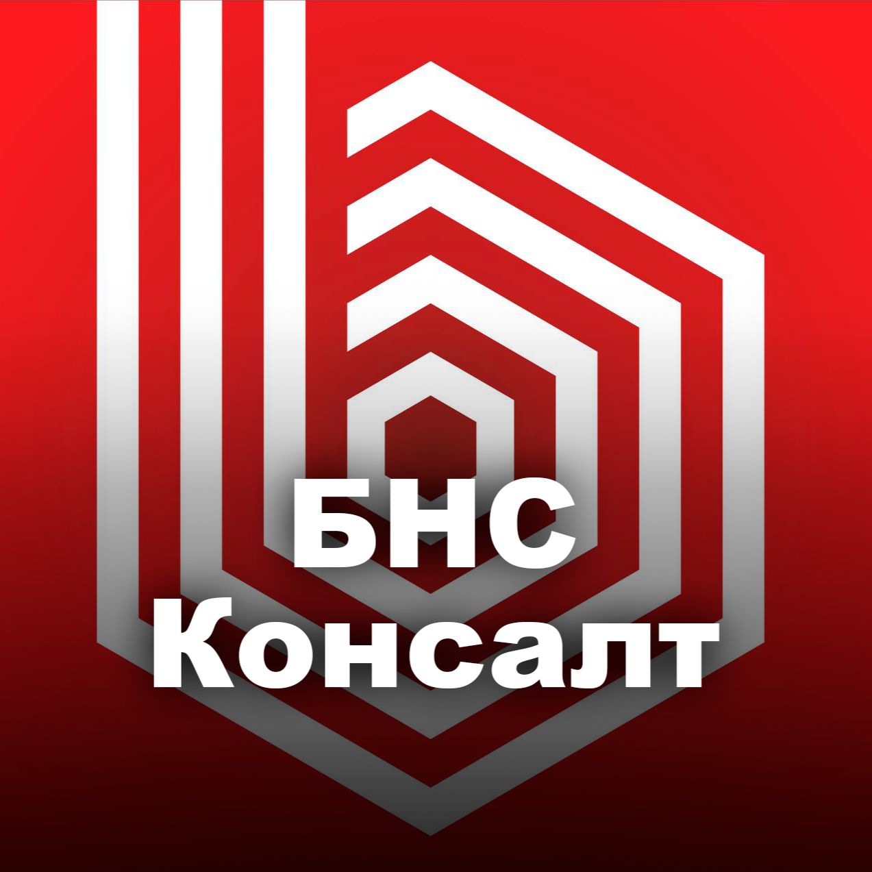 Иконка канала БНС Консалт