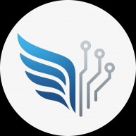 Иконка канала Цифровые Крылья - IT интегратор