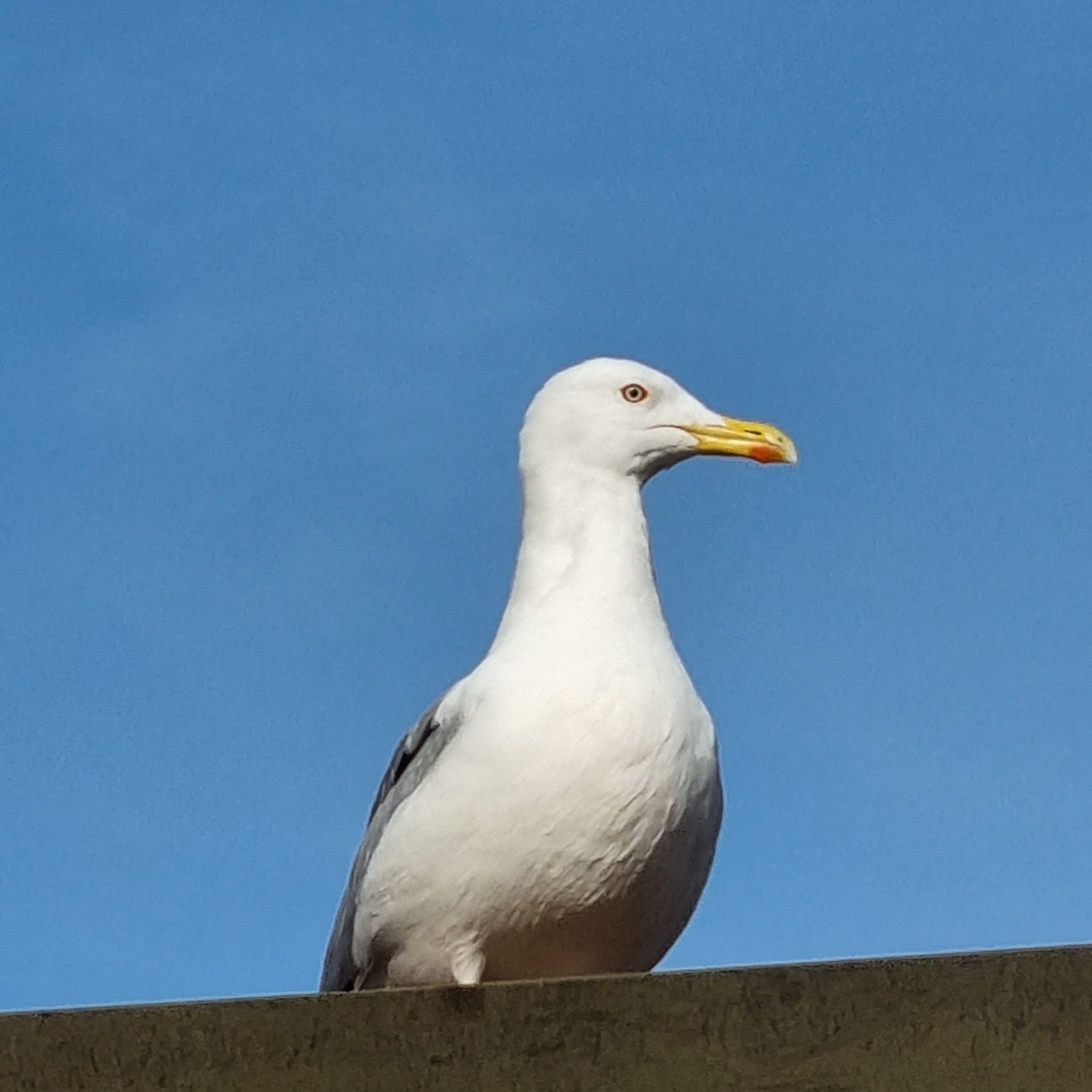 Иконка канала Прогулки по  Анапе...и не только🤌