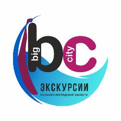 Иконка канала bigcity39.ru