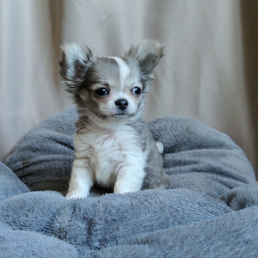 Иконка канала Мини малышки