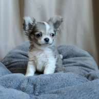 Иконка канала Мини малышки