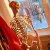 Иконка канала Anastasia