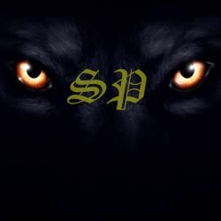 Иконка канала SanchoS PlaY