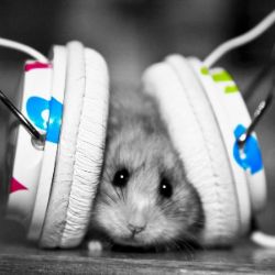 Иконка канала МозгошмыГ