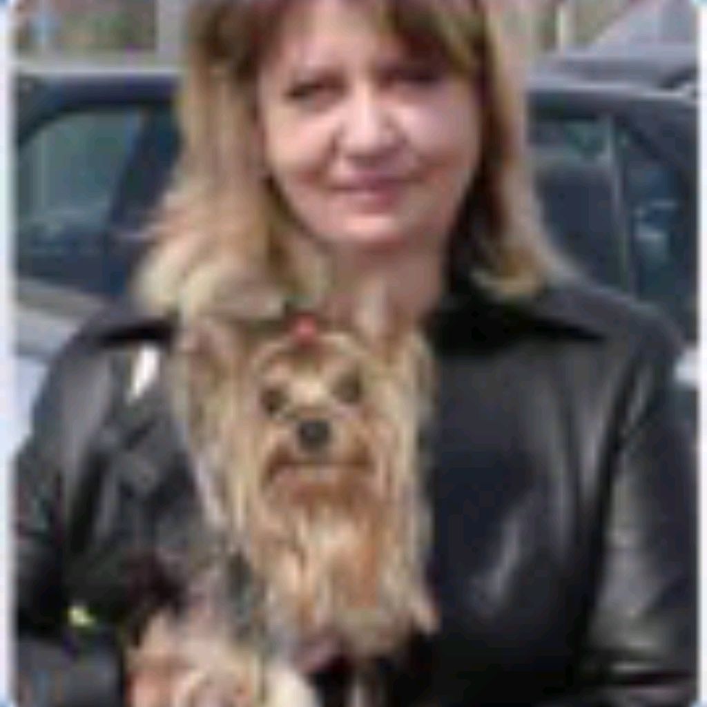 Иконка канала channel28041965