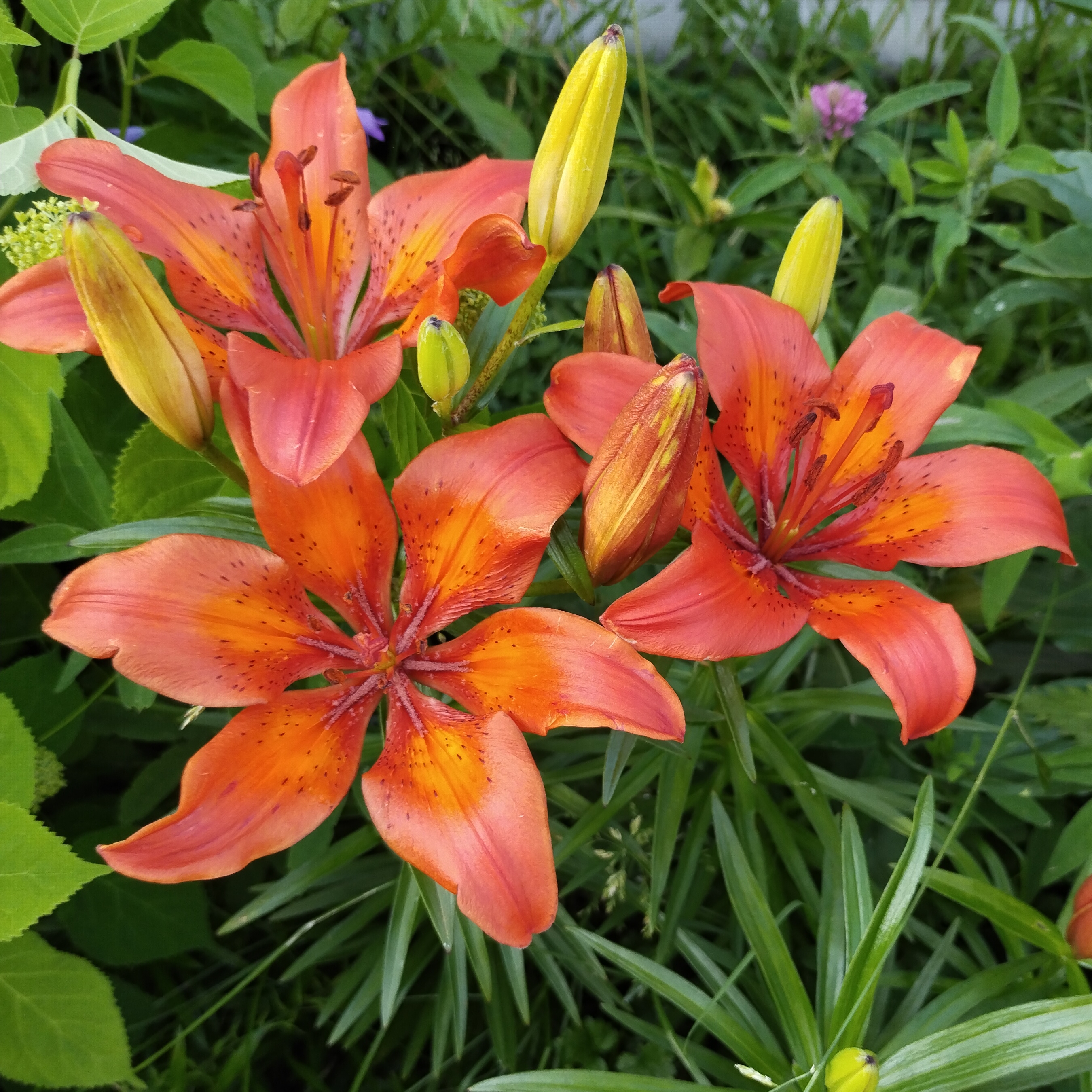 Иконка канала Нелли на даче