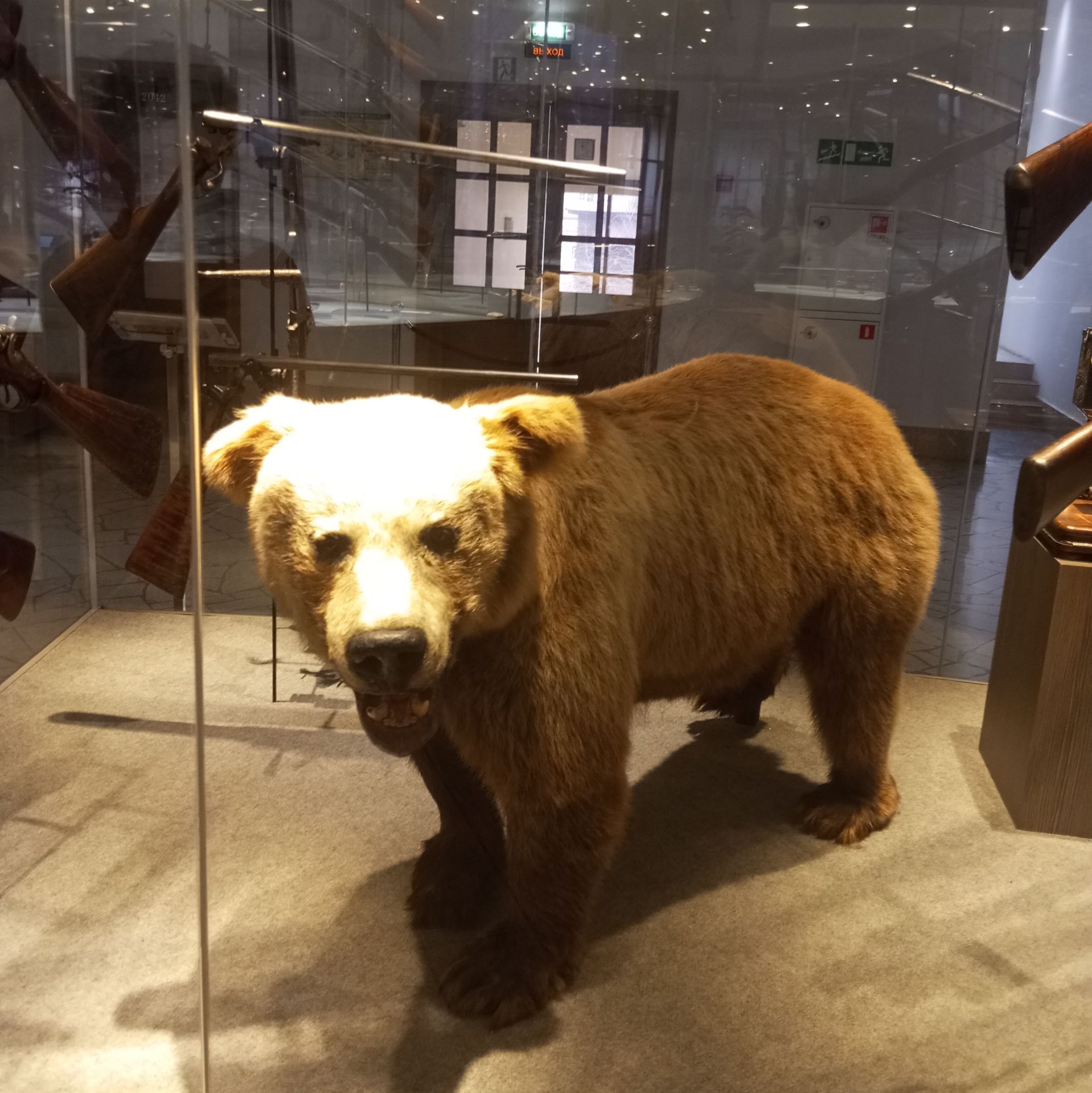 Иконка канала Werty