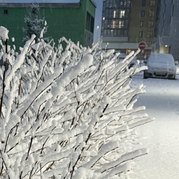 Иконка канала Юлия