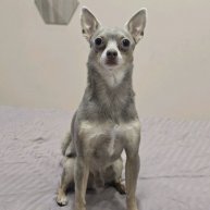 Иконка канала Zistudio