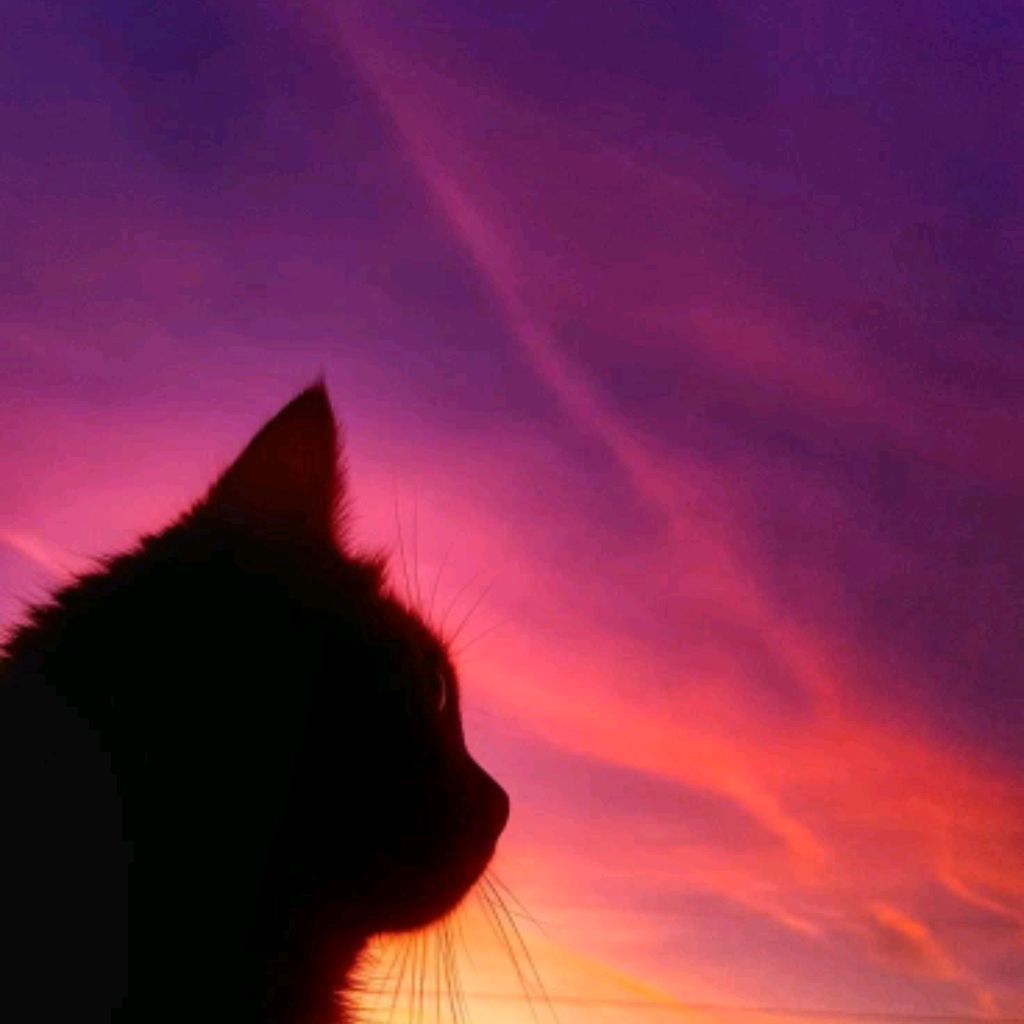 Иконка канала ☆Rainbow Star☆