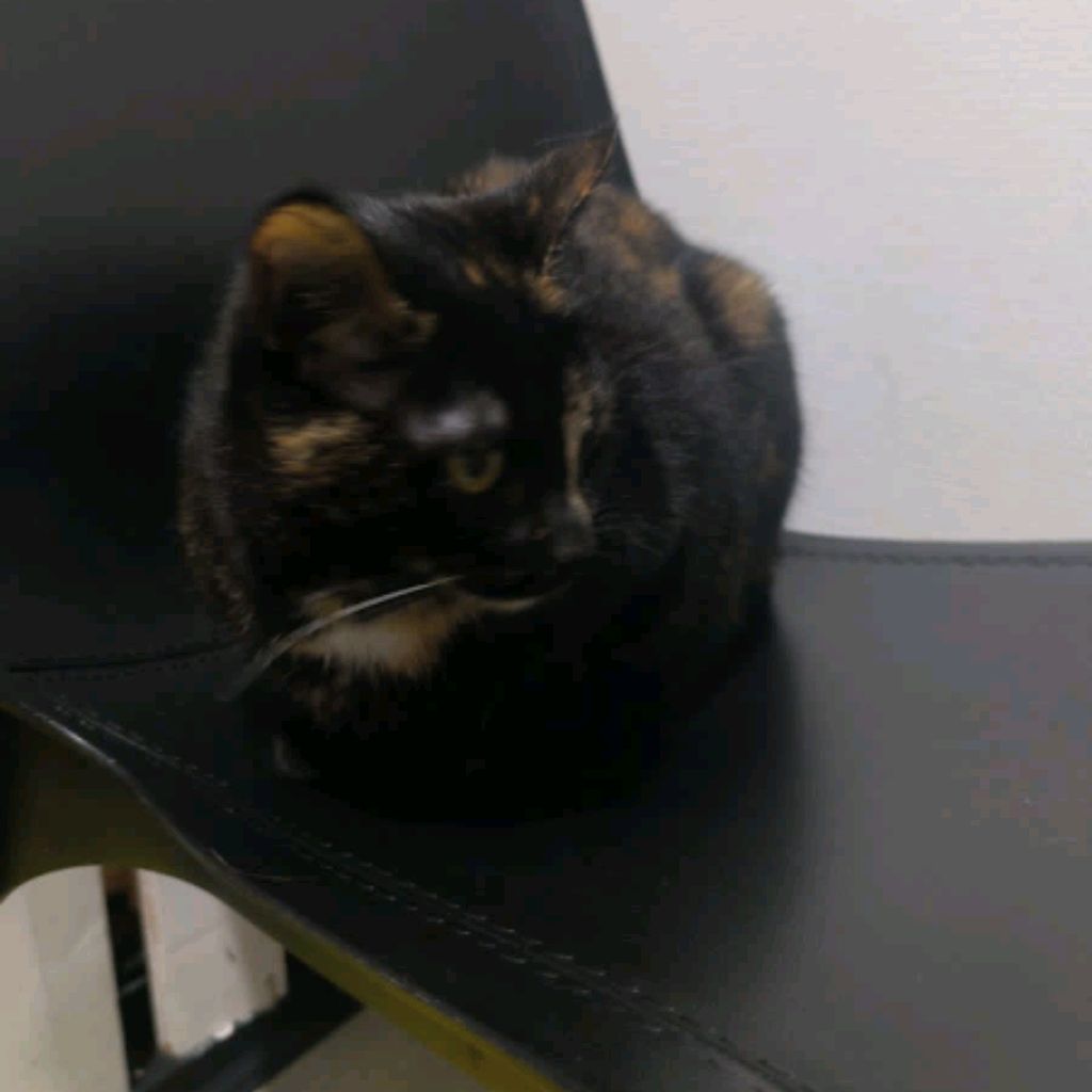 Иконка канала Боийстваир.1001