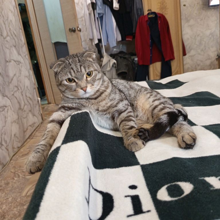 Иконка канала Значок Что Ты Топчик