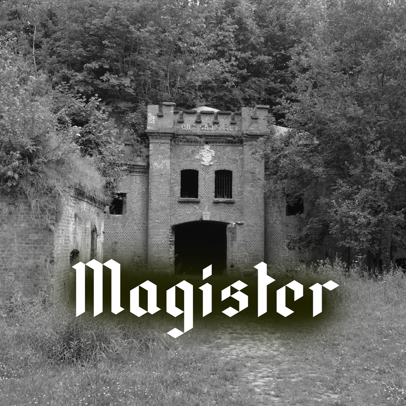 Иконка канала Magister