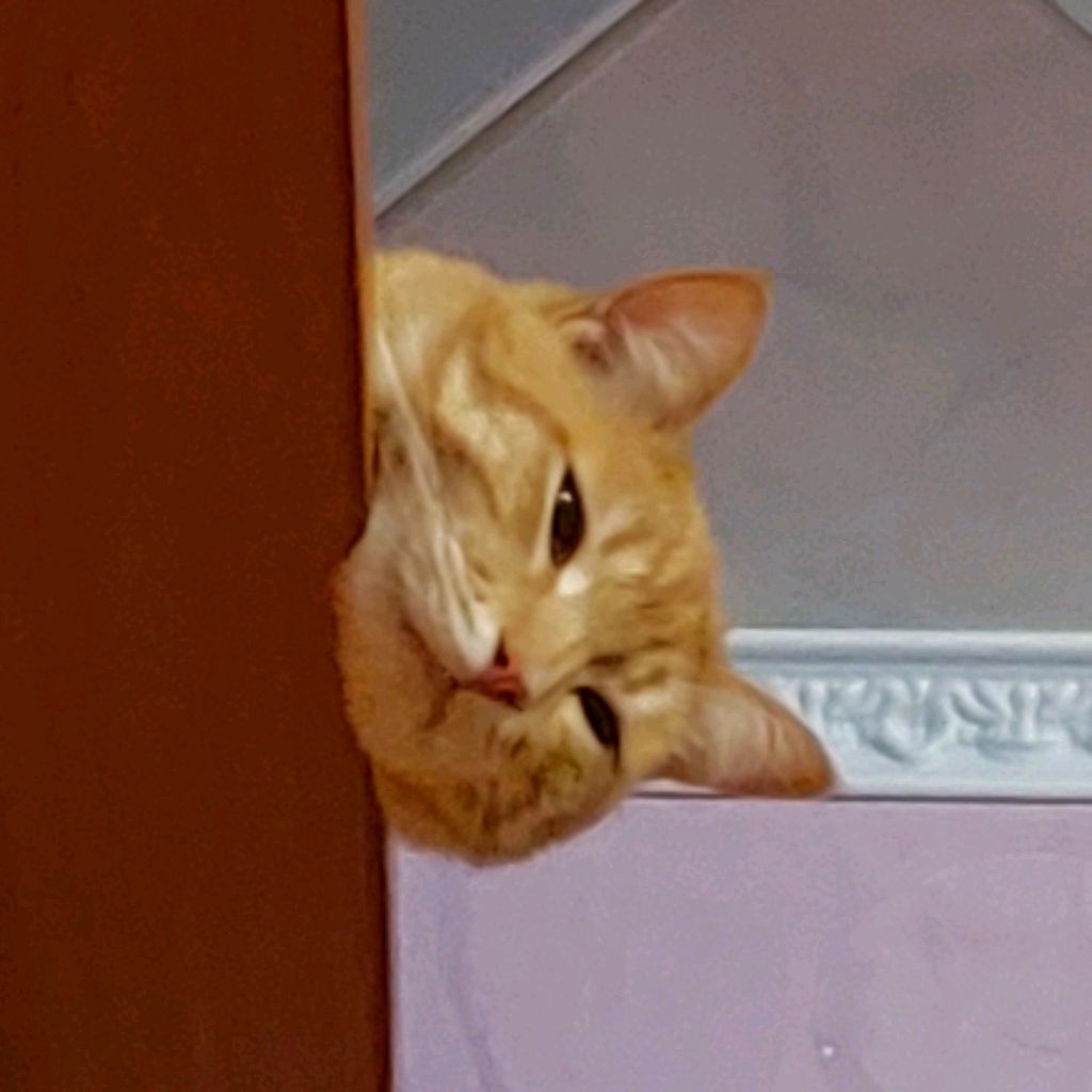 Иконка канала КСС!