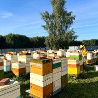 Иконка канала Пасека Леденёвых