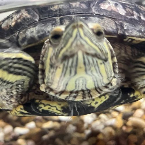 Иконка канала Ушла возможно навсегда