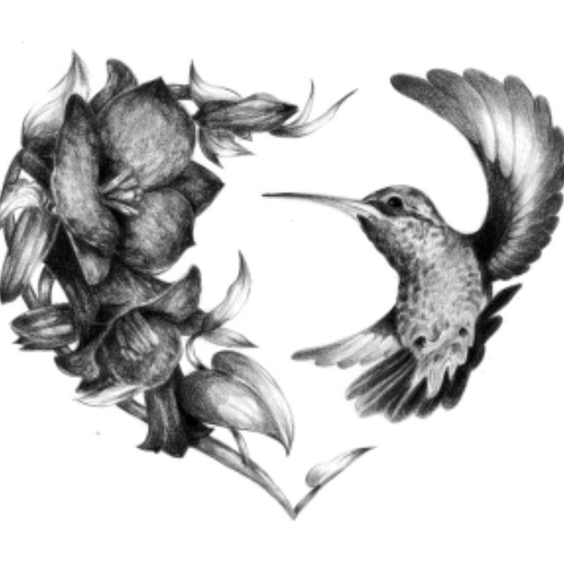 Иконка канала ColibriTaro