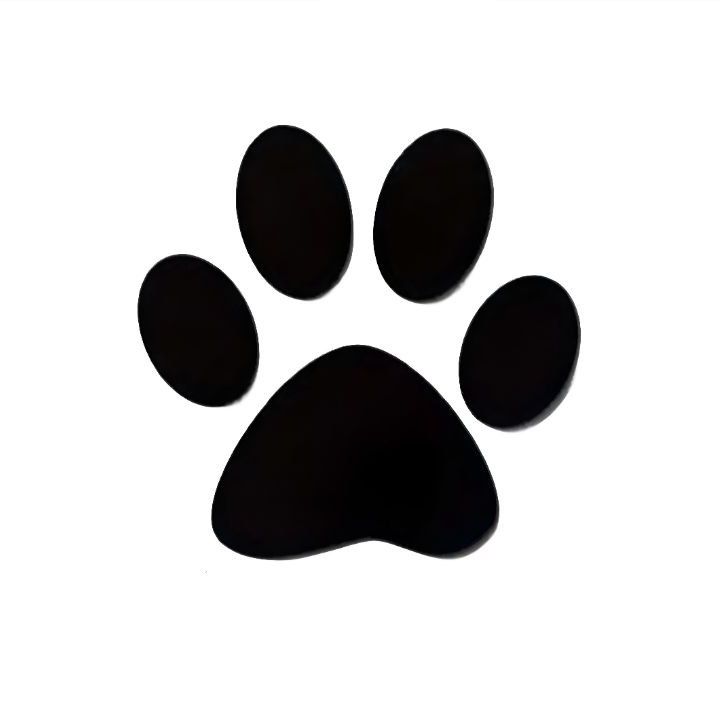 Иконка канала Cat Noir