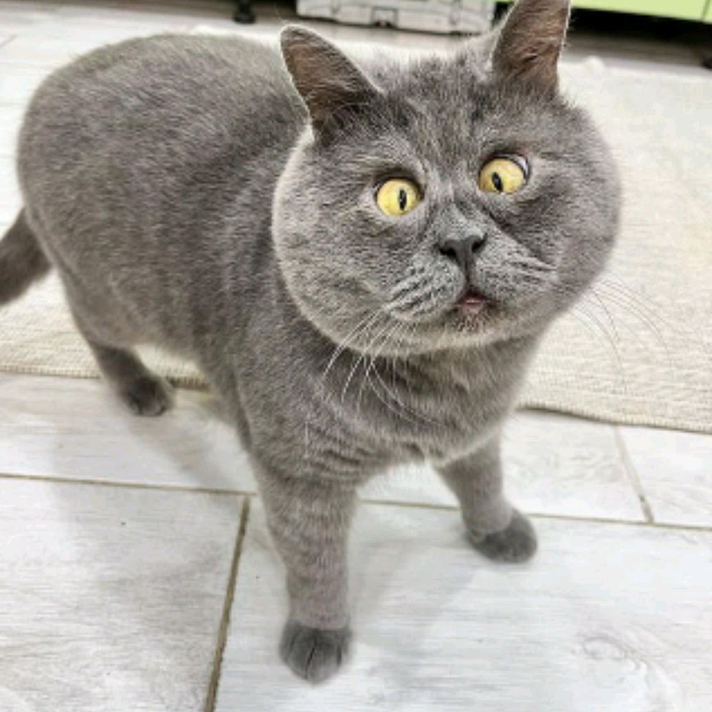 Иконка канала Анита