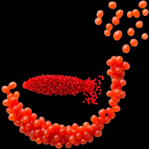 Иконка канала СиФудГуд.ру