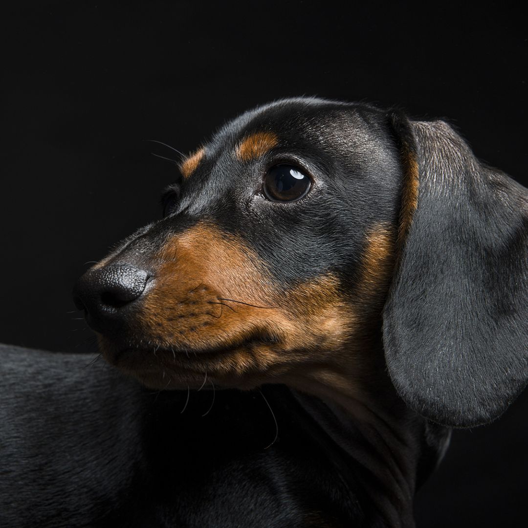 Иконка канала game456