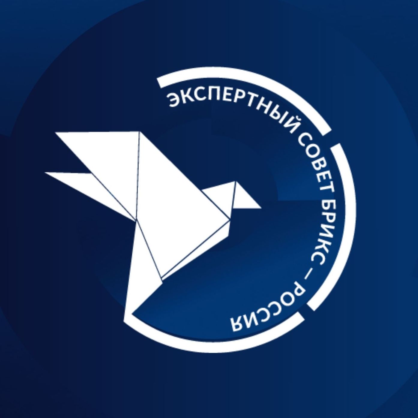Иконка канала Экспертный совет БРИКС-Россия