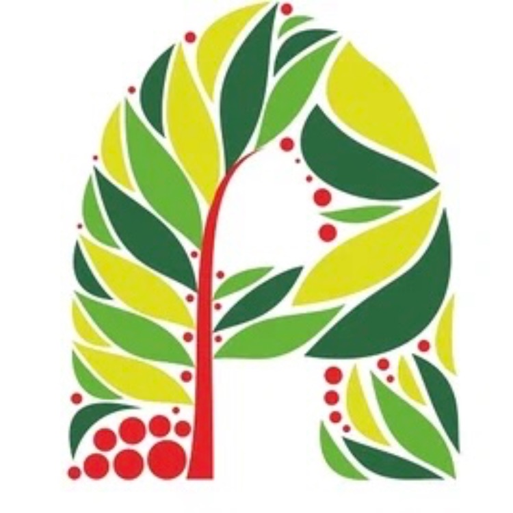 Иконка канала Азбука Леса СПБ