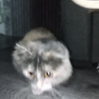 Иконка канала Сашка и данька крутые братья