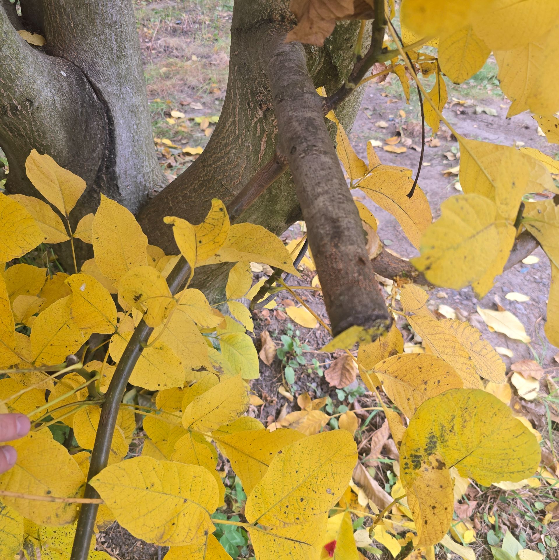 Иконка канала AVTOMIHA46